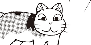 FukuFuku Kitten Tales | Chapter 1 Kitten FukuFuku / K MANGA - You can ...